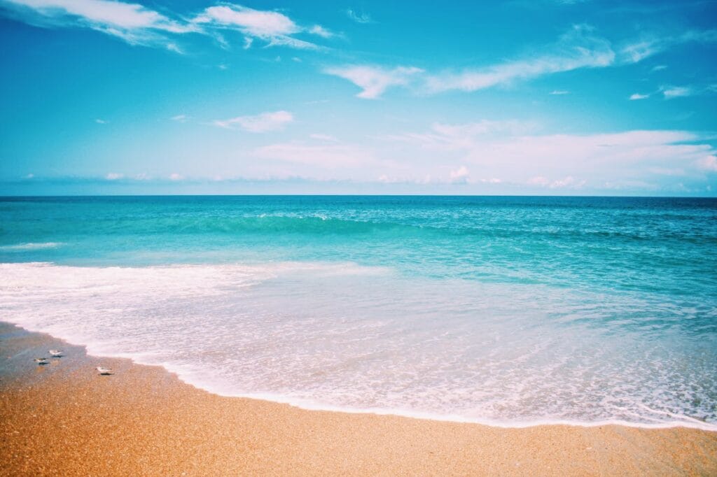 Beaches Near Raleigh - BeachEverywhere