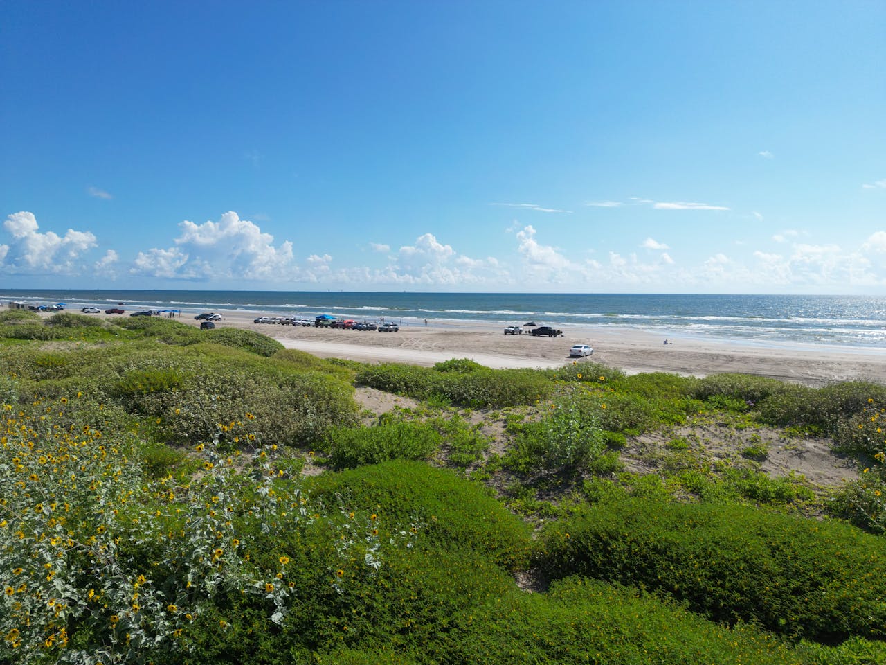 Mustang Island State Park – Texas, USA - BeachEverywhere