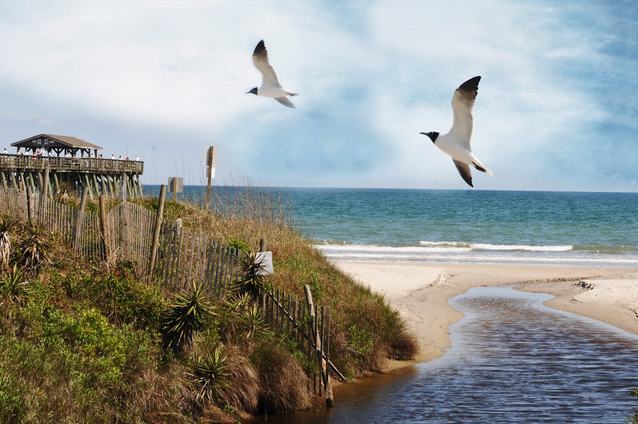 Colonial Beach, VA - BeachEverywhere